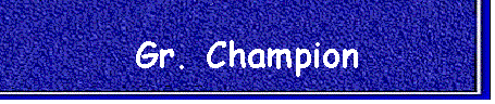 Gr. Champion